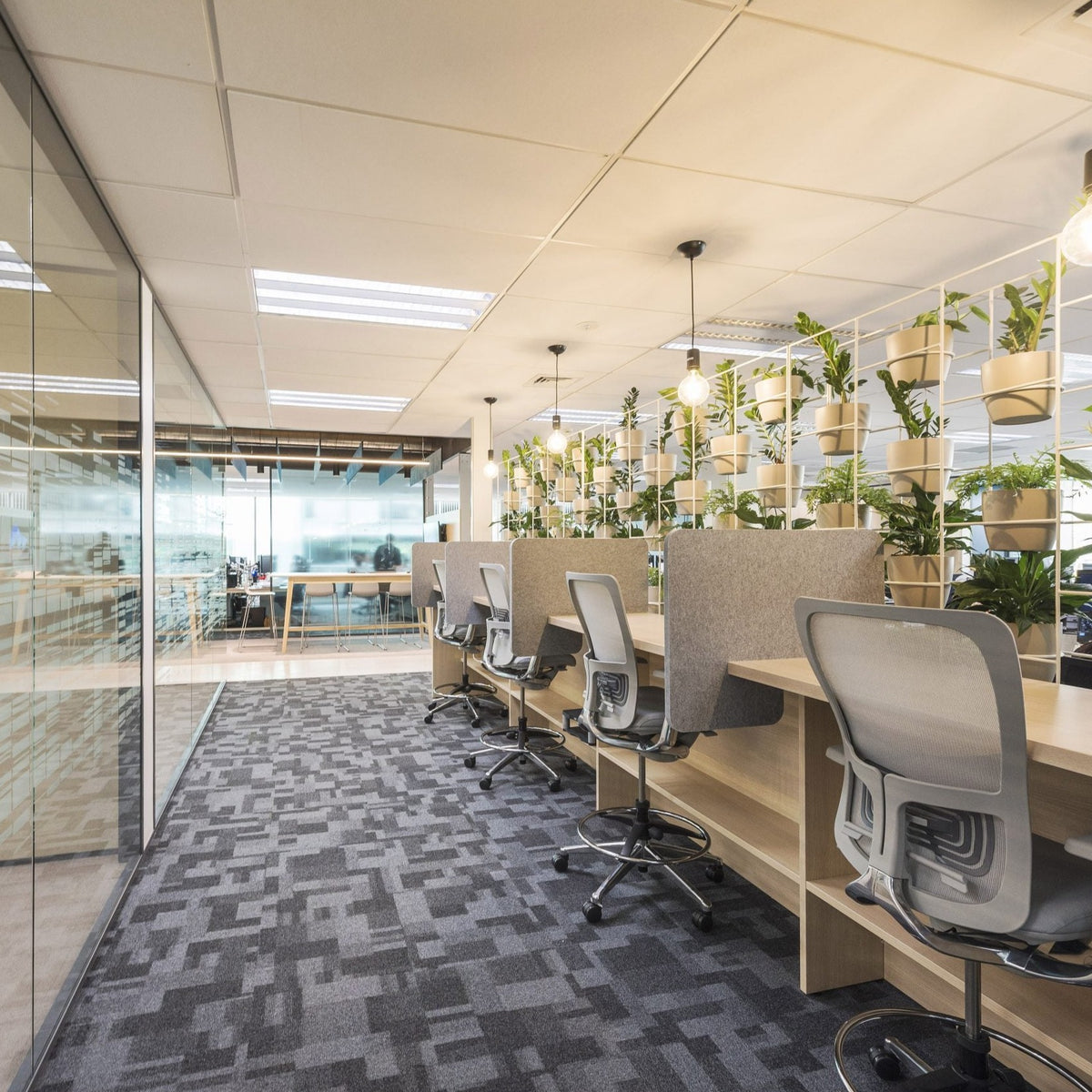 Acoustic Solutions AU: Autex Materials & Acoustic Products in Brisbane – Acoustic Solutions AU